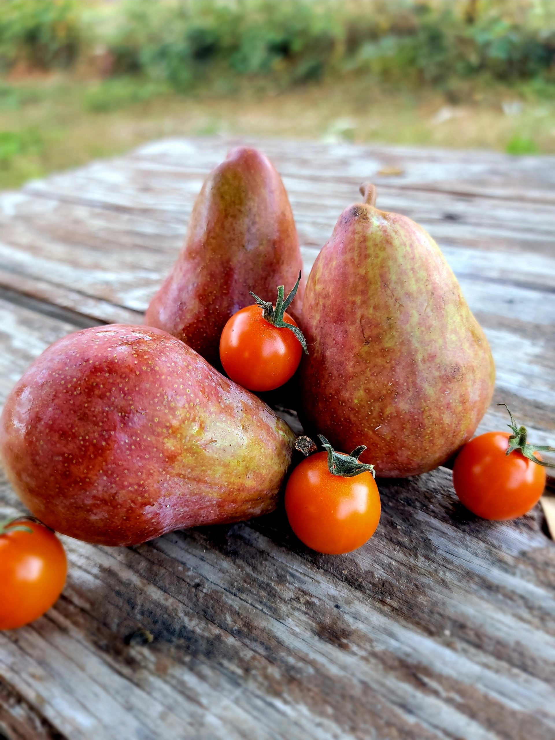 2022 CSA Season Week Seventeen - Winter Green Farm